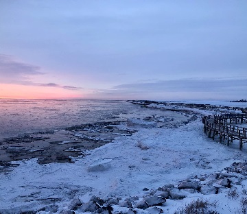 Irving Woodlands | J.D. Irving, Limited - Woodlands Division: Forests ...