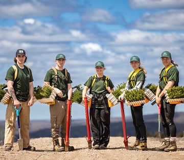 Irving Woodlands | J.D. Irving, Limited - Woodlands Division: Forests ...