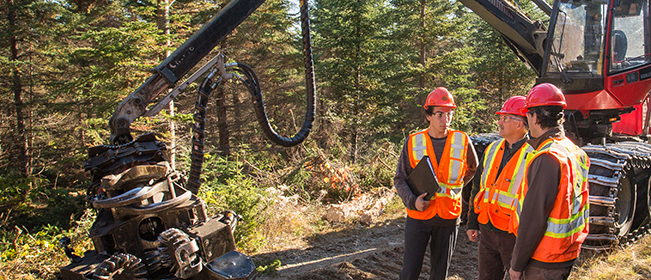 Careers | J.D. Irving, Limited - Woodlands Division: Working with Us ...