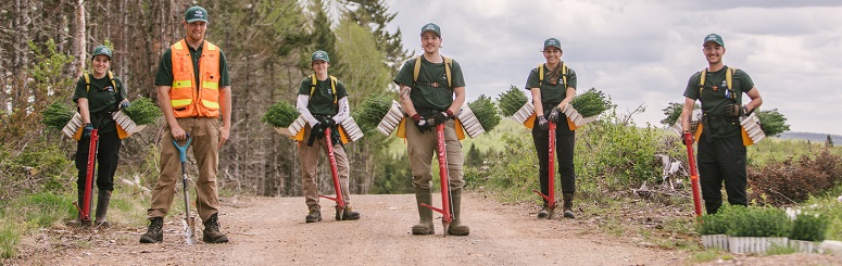 Contact Us | J.D. Irving, Limited - Woodlands Division: Phone, Email ...