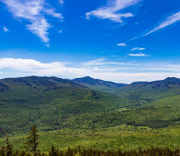 Irving Woodlands | J.D. Irving, Limited - Woodlands Division: Forests ...