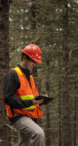 Technology - Healthy Forests | J.D. Irving, Limited - Woodlands ...