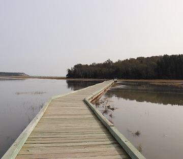 Irving Woodlands | J.D. Irving, Limited - Woodlands Division: Forests ...