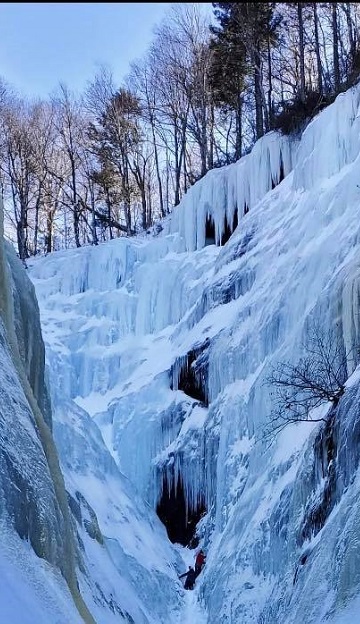 Irving Woodlands | J.D. Irving, Limited - Woodlands Division: Forests ...