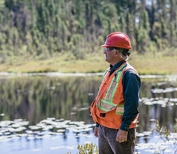 Irving Woodlands | J.D. Irving, Limited - Woodlands Division: Forests ...